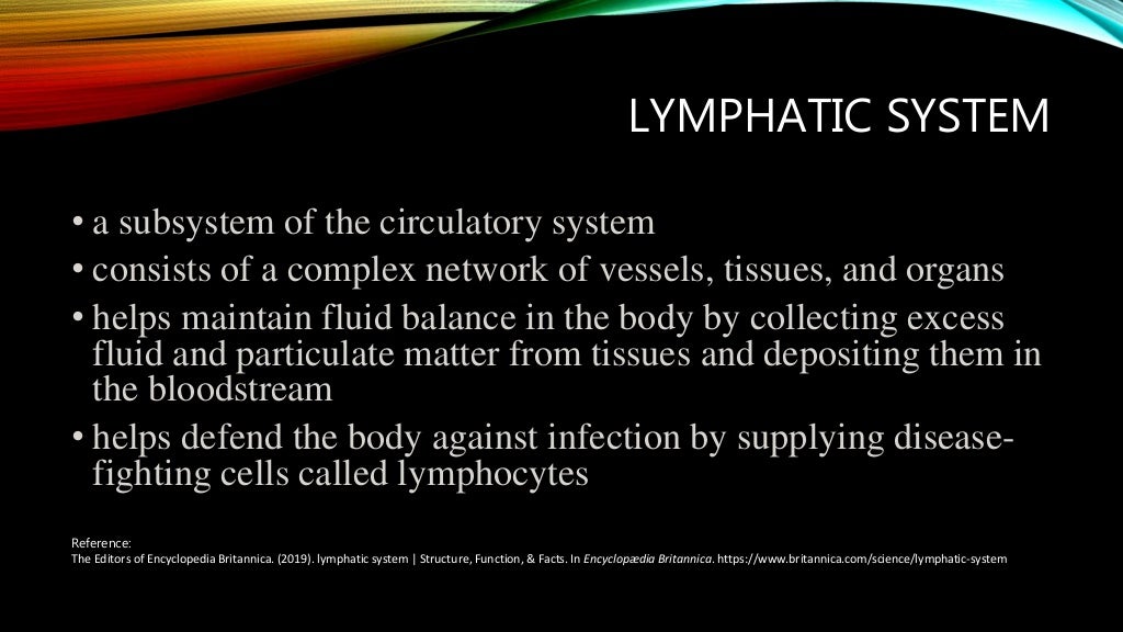 PERIPHERAL VASCULAR SYSTEM.pptx