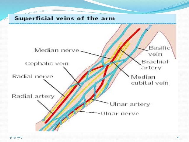 Peripheral venous cannulation