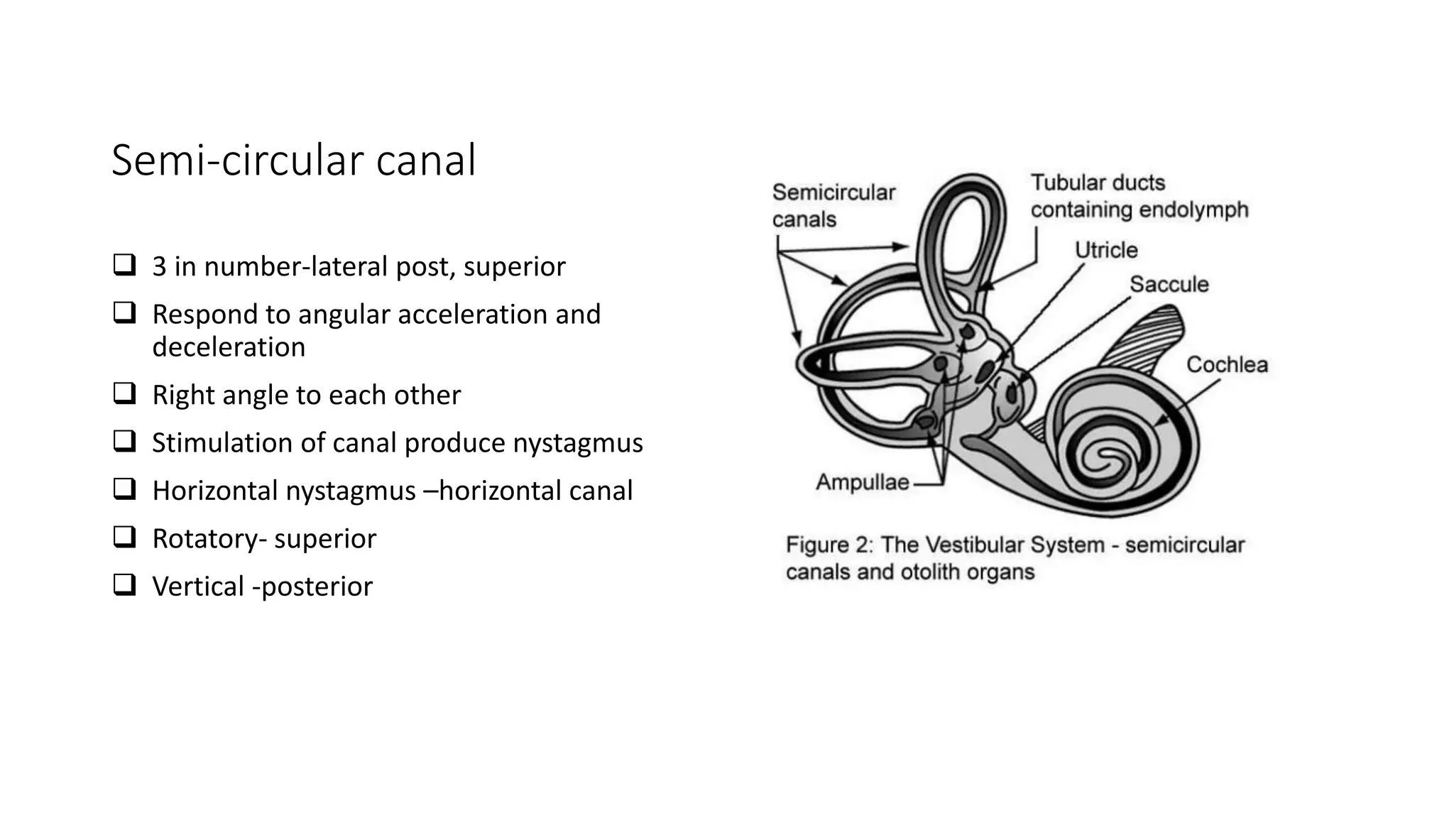 Peripheral vestibular disorders | PPTX