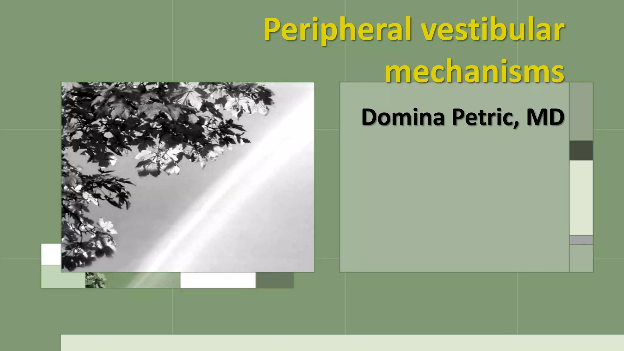 Peripheral vestibular mechanisms | PPSX
