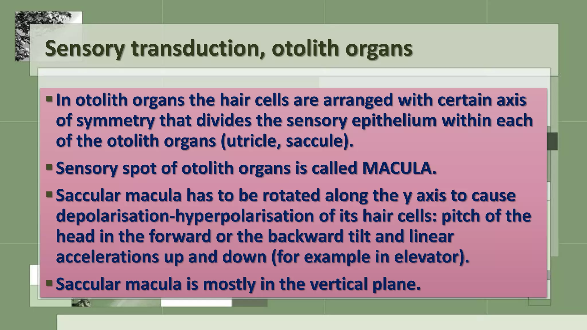 Peripheral vestibular mechanisms | PPSX