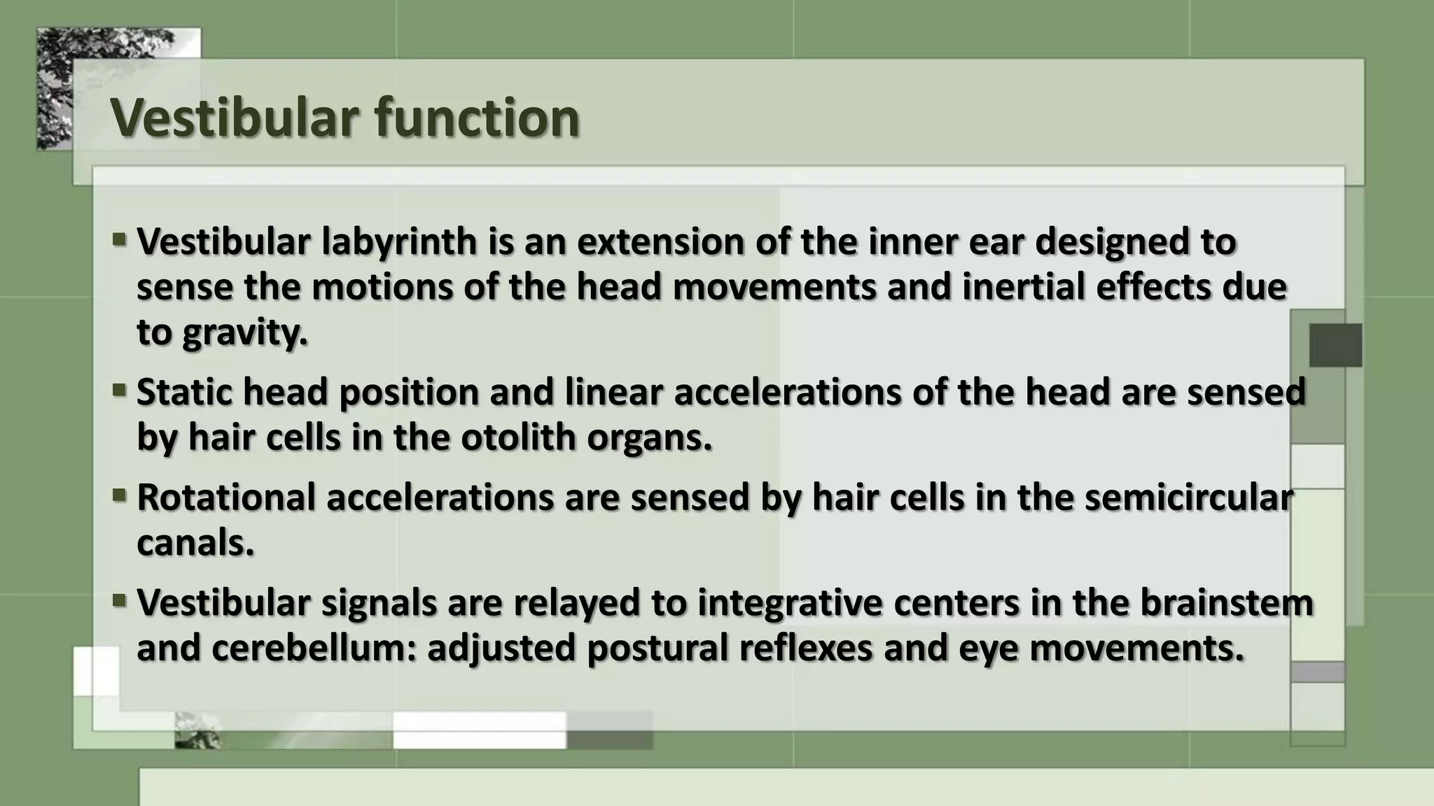 Peripheral vestibular mechanisms | PPSX