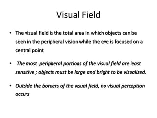 Peripheral visual field | PPTX