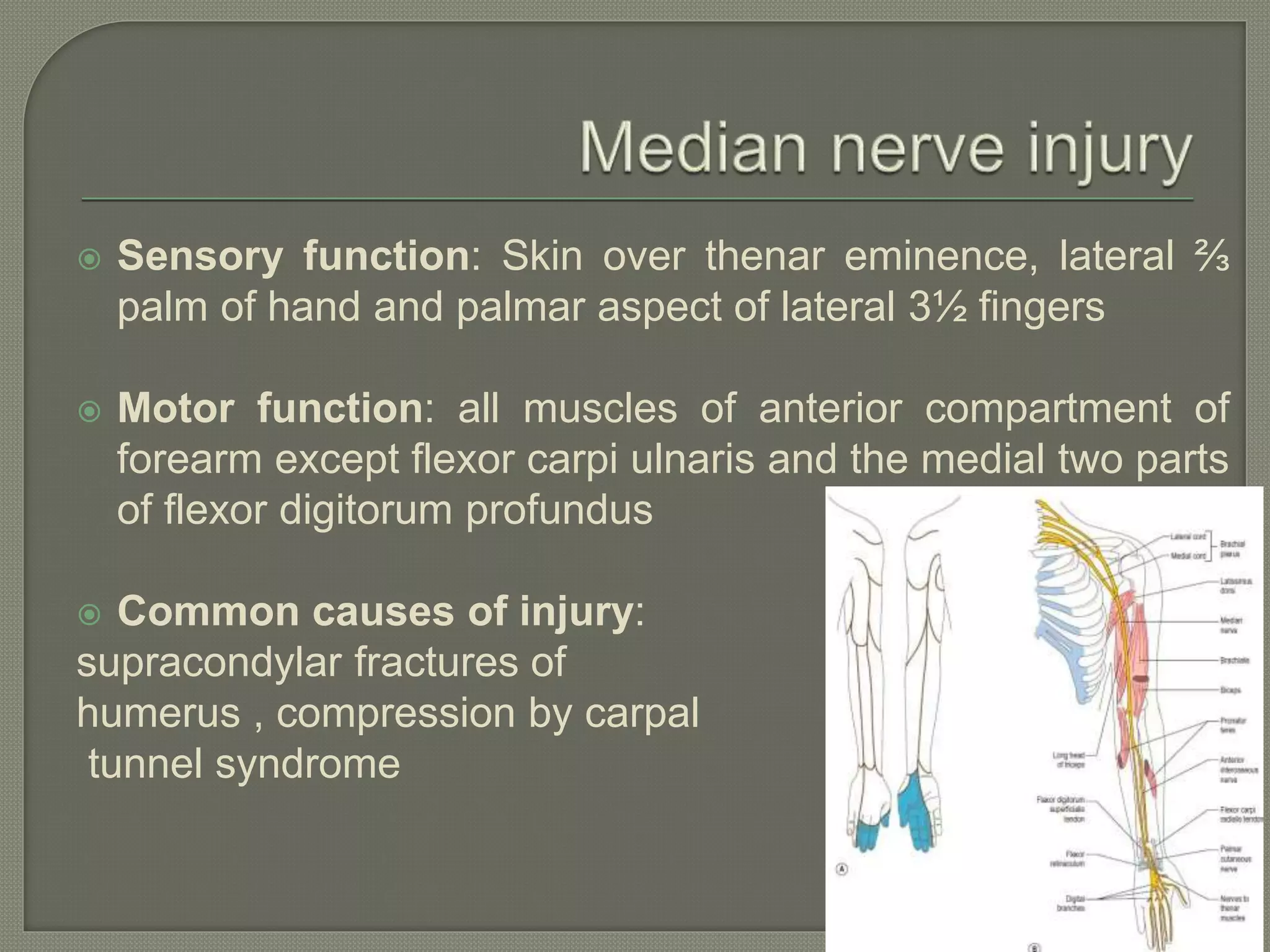 Periphral nerve injury | PPTX