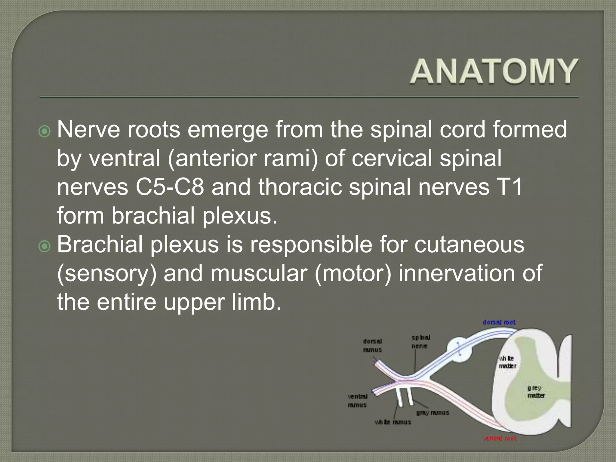 Periphral nerve injury | PPTX