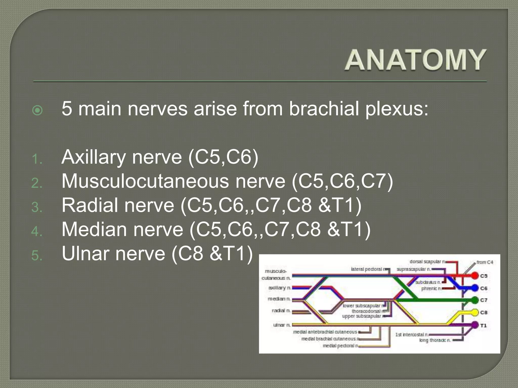 Periphral nerve injury | PPTX