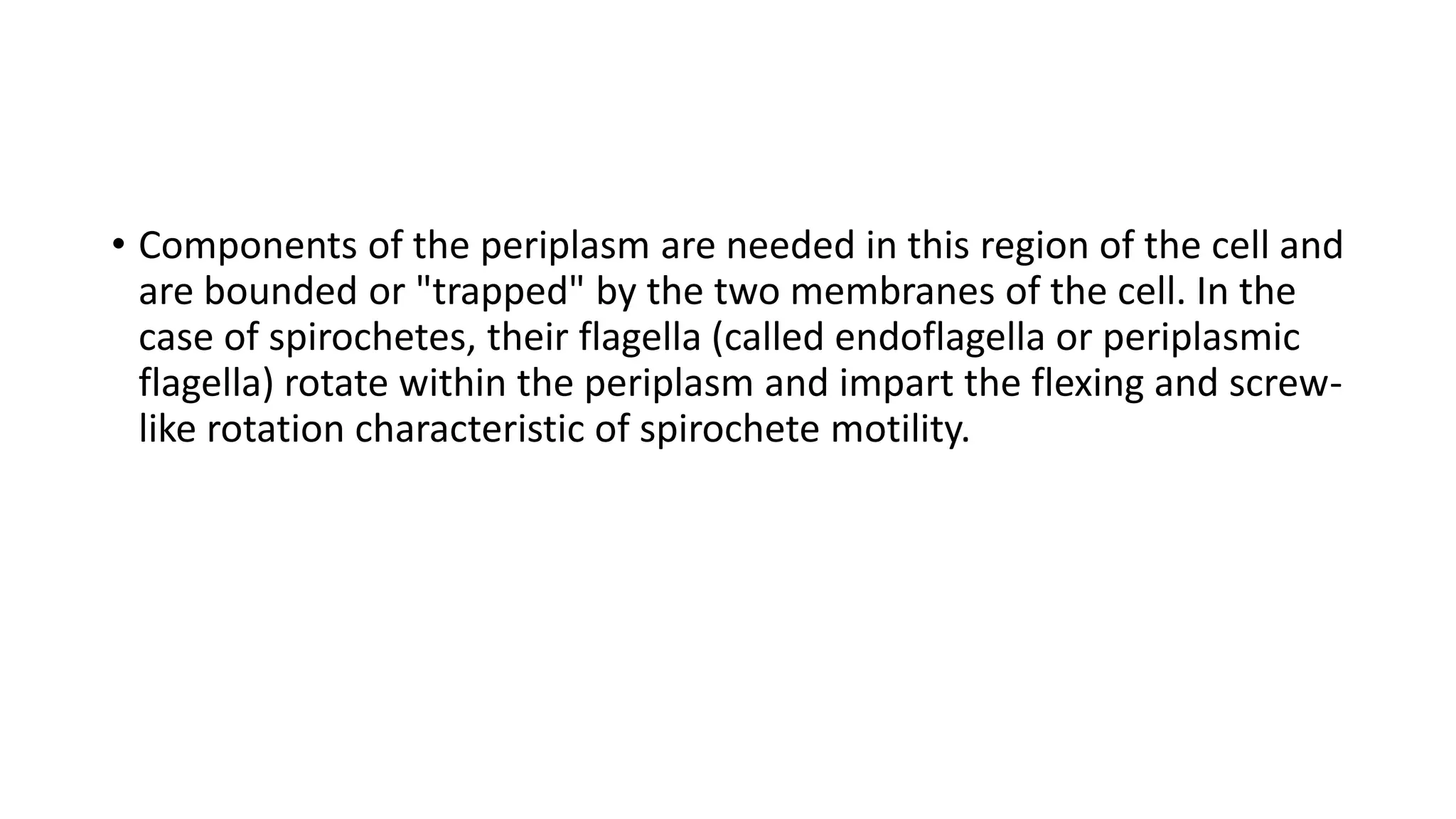 Periplasmic Space.pptx