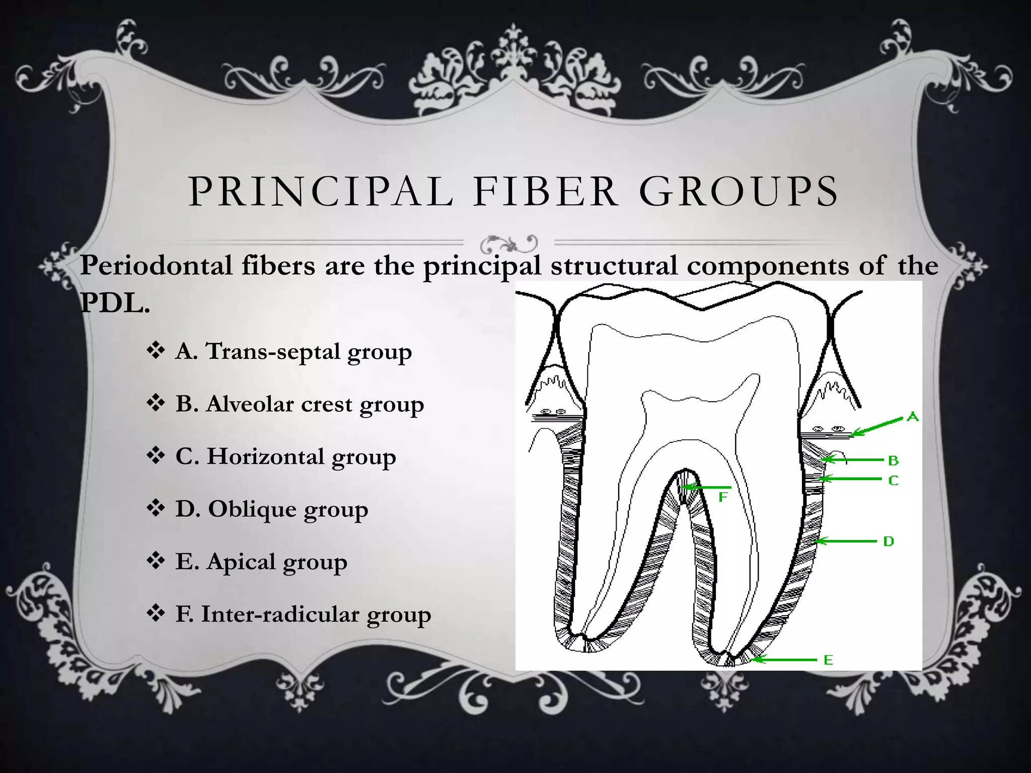 Periradicular Diseases | PPTX