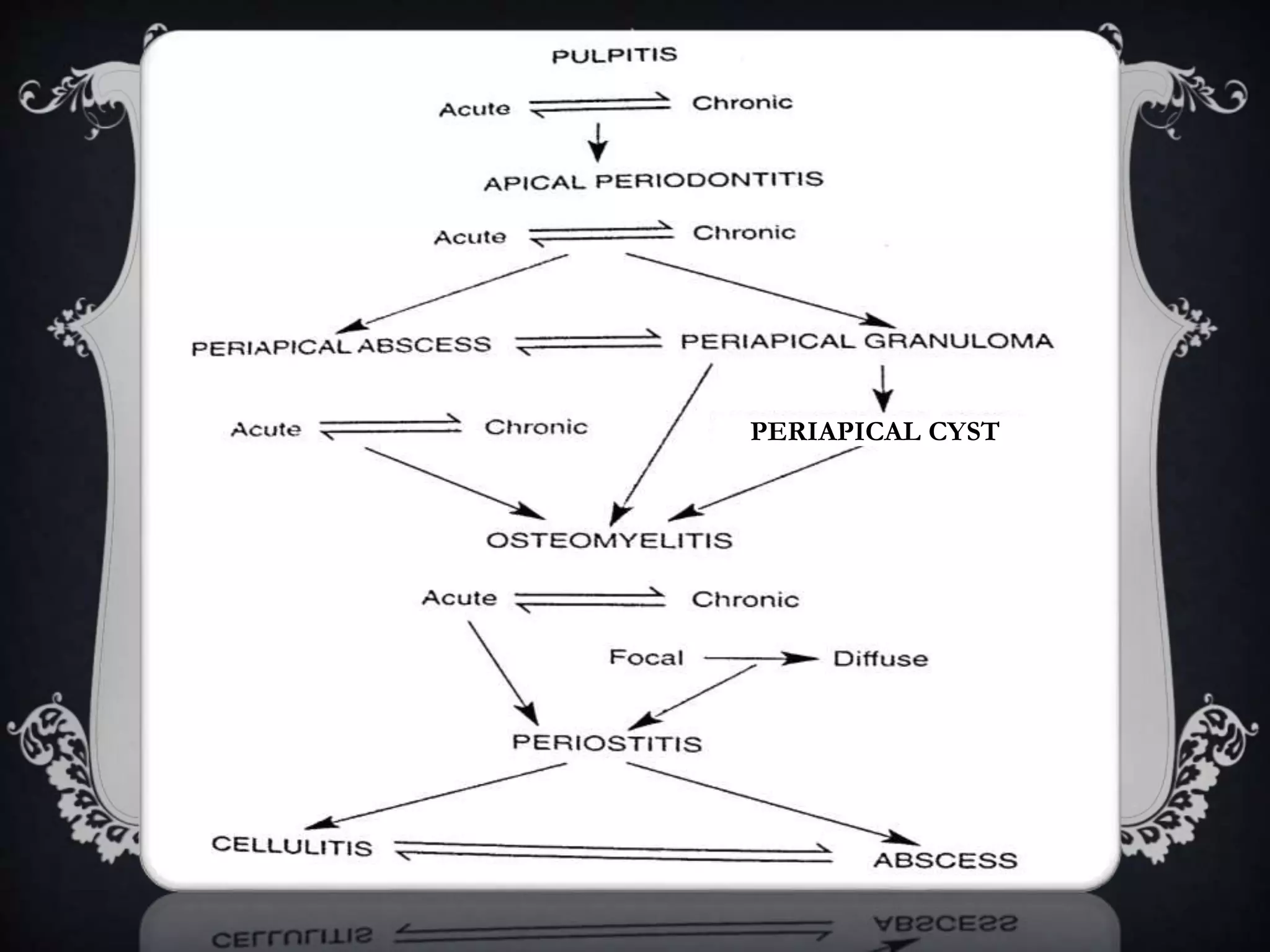 Periradicular Diseases | PPTX