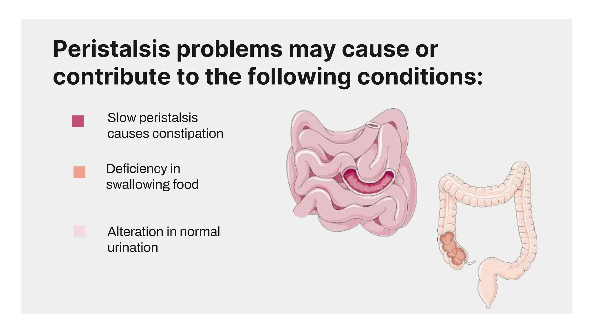 peristalsis & Segmentation ( digestive system).pptx