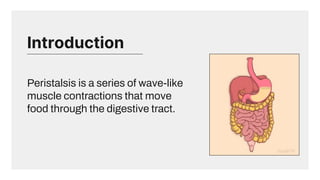 peristalsis & Segmentation ( digestive system).pptx