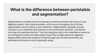 peristalsis & Segmentation ( digestive system).pptx