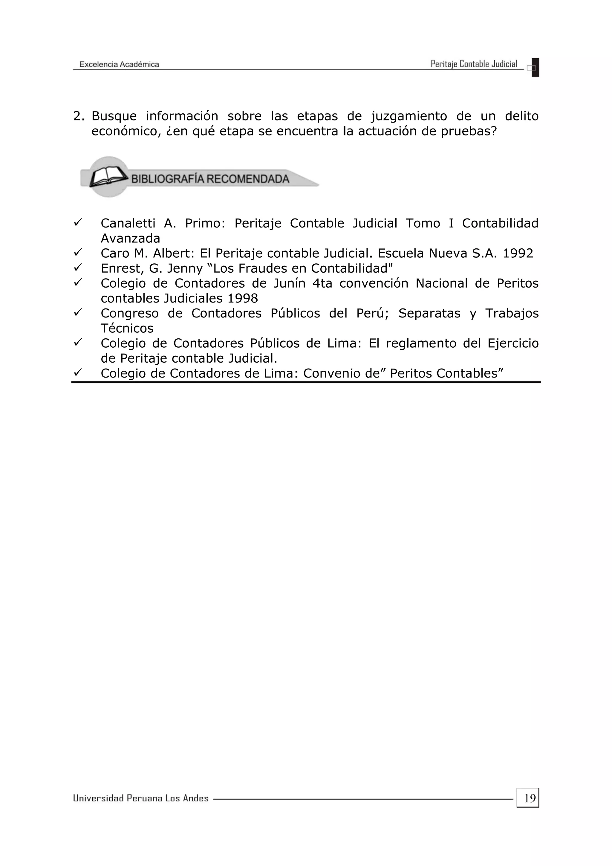 EJEMPLO DE Peritaje contable judicial | PDF
