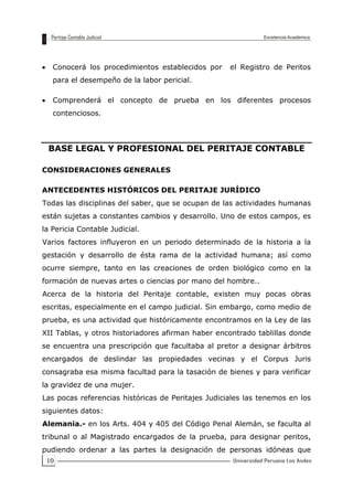 EJEMPLO DE Peritaje contable judicial | PDF