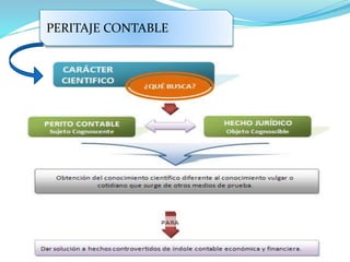 Peritaje Contable Pub Pptx