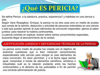 PERITAJE_CONTABLE Pub.pptx