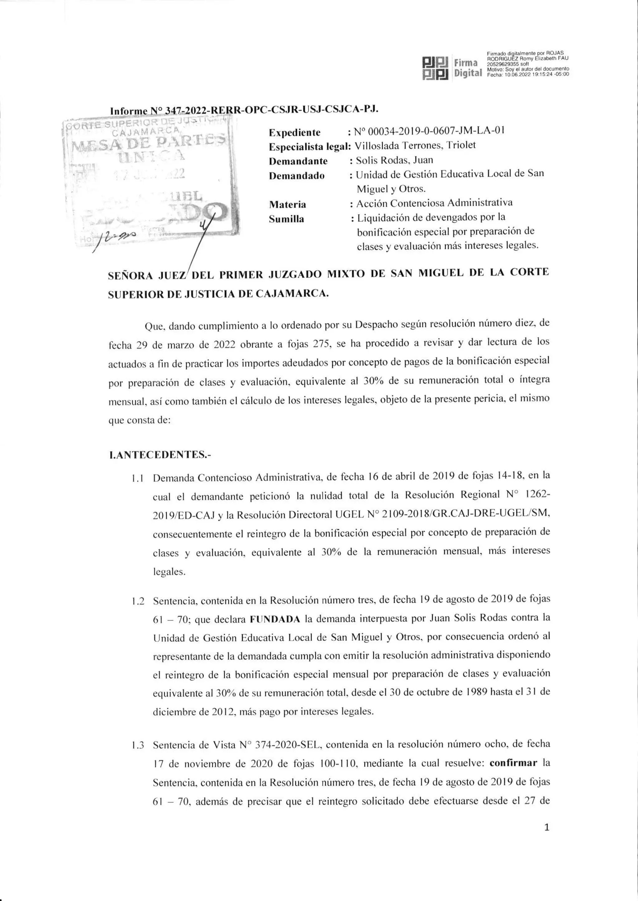 modelo de peritaje judicial para presentar en el poder judicial | PDF