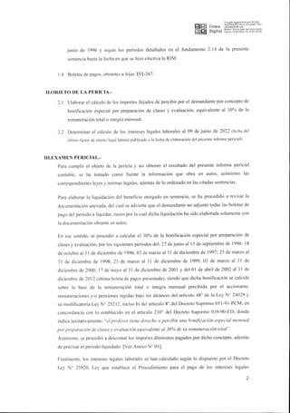 modelo de peritaje judicial para presentar en el poder judicial | PDF