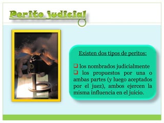 Perito | PPT