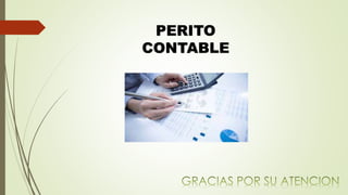 Perito Contable Pptx