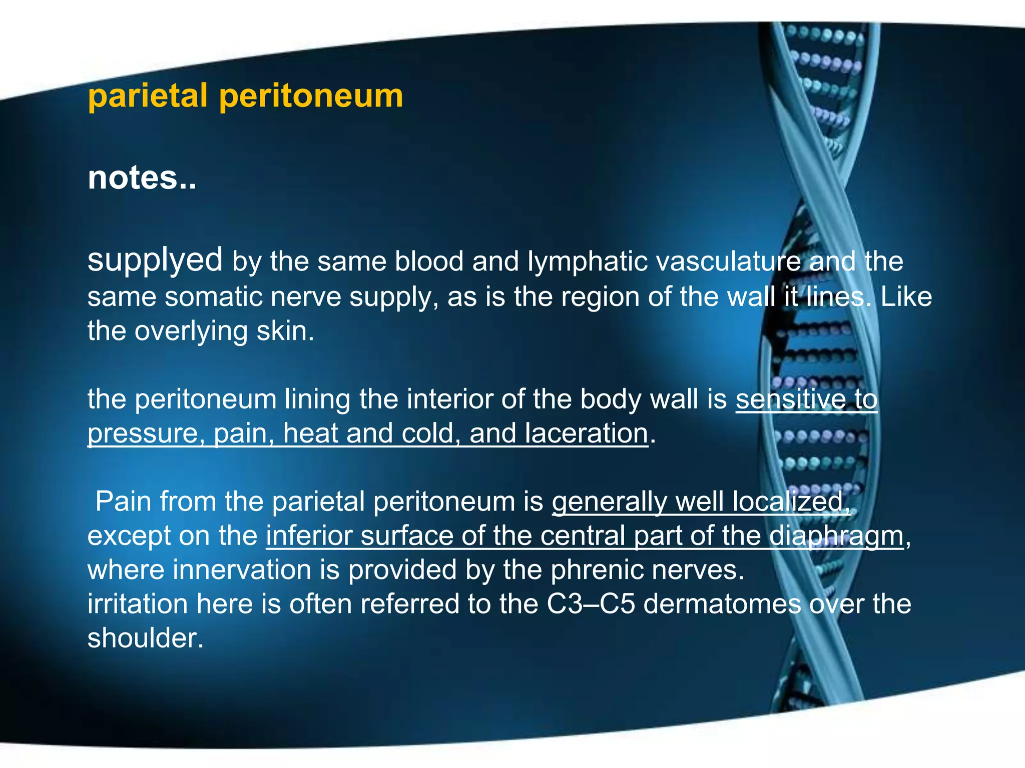 Peritoneal cavity and relations | PPT | Death, Injury, or Military ...