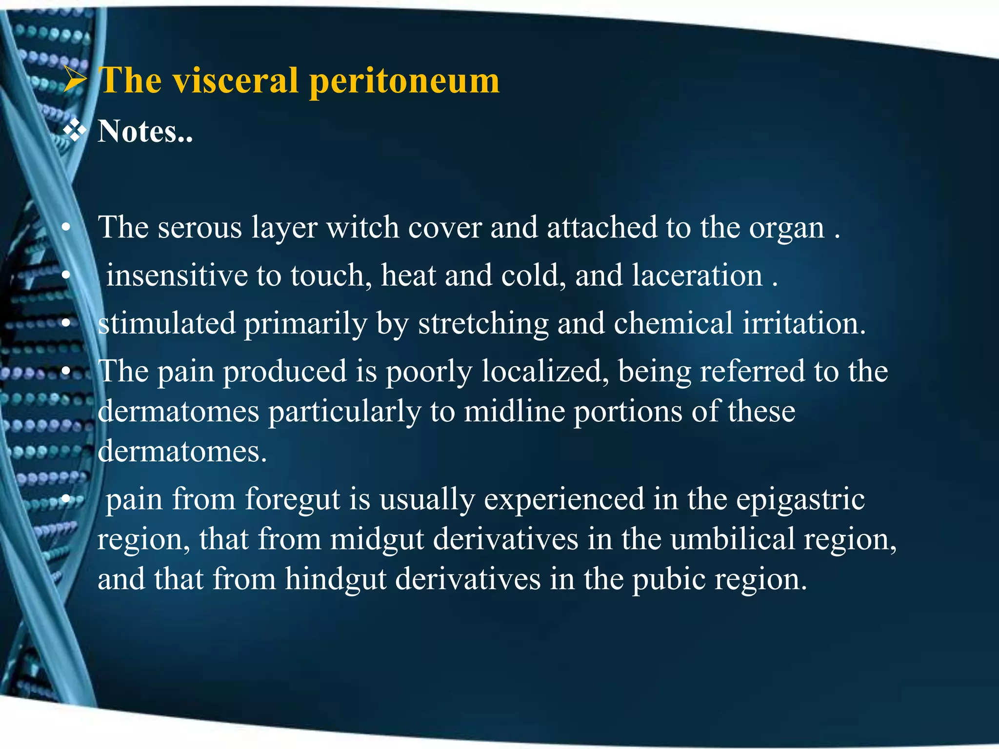 Peritoneal cavity and relations | PPT