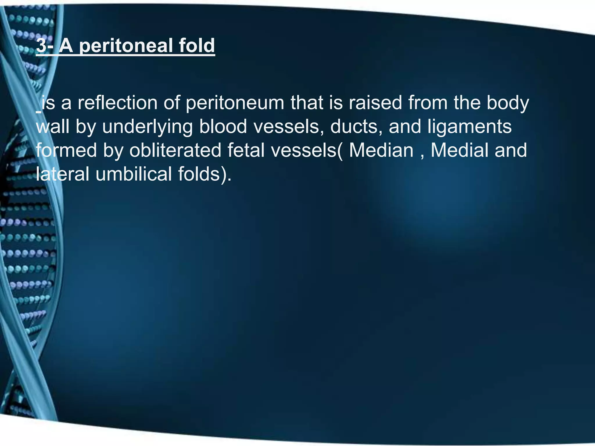 Peritoneal cavity and relations | PPT | Death, Injury, or Military ...