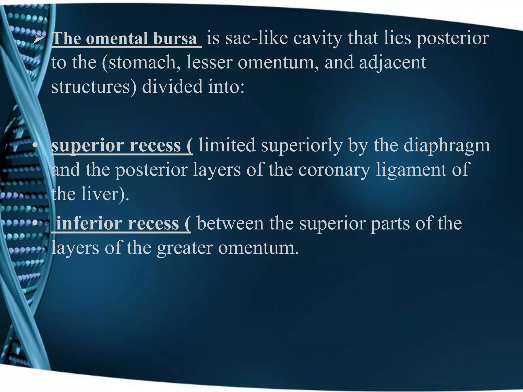 Peritoneal cavity and relations | PPT | Death, Injury, or Military ...