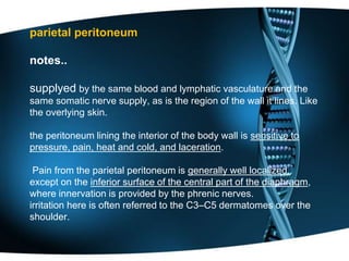 Peritoneal cavity and relations | PPT