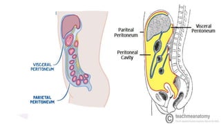 peritoneal dialysis.pptx