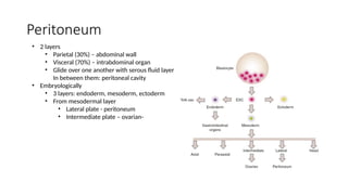 hyperthermic intraperitoneal chemotherapy | PPTX
