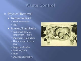 Peritoneal Healing, Cow/Horse | PPT