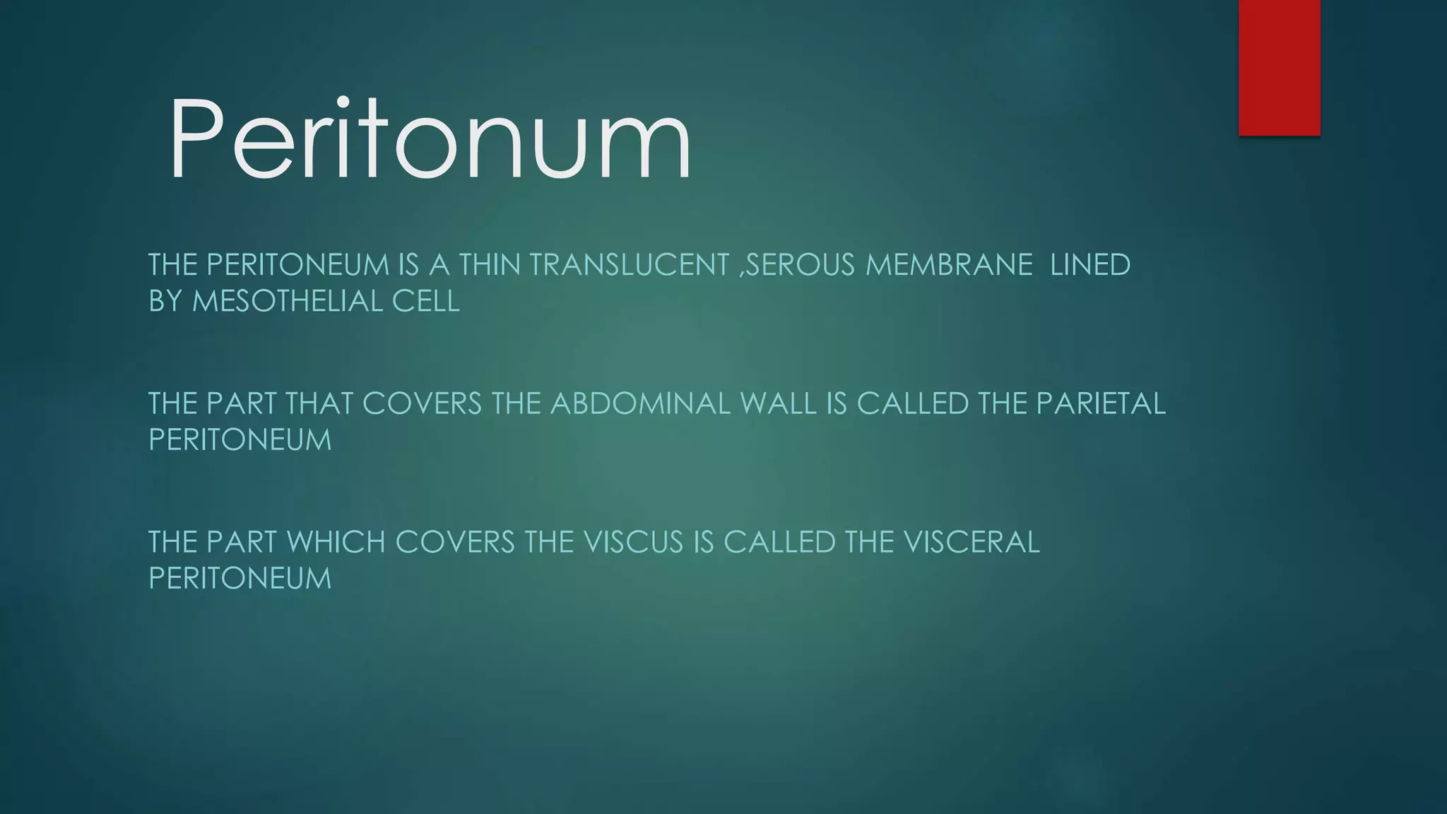 anatomy of Peritoneal spaces | PPTX