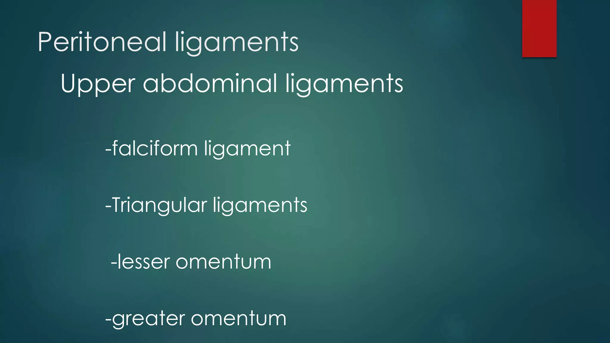 anatomy of Peritoneal spaces | PPTX