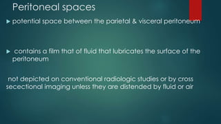 anatomy of Peritoneal spaces | PPTX