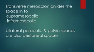 anatomy of Peritoneal spaces | PPTX