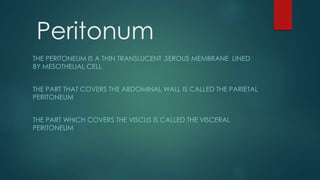 anatomy of Peritoneal spaces | PPTX