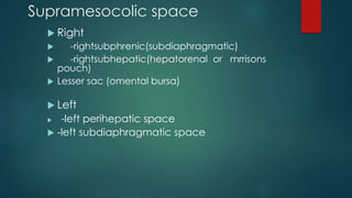 anatomy of Peritoneal spaces | PPTX