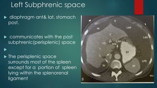 anatomy of Peritoneal spaces | PPTX