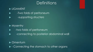 anatomy of Peritoneal spaces | PPTX
