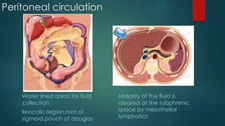 anatomy of Peritoneal spaces | PPTX