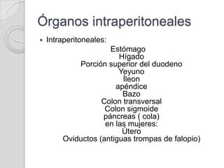 Peritoneo | PPTX