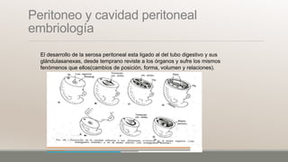 Peritoneo | PPTX