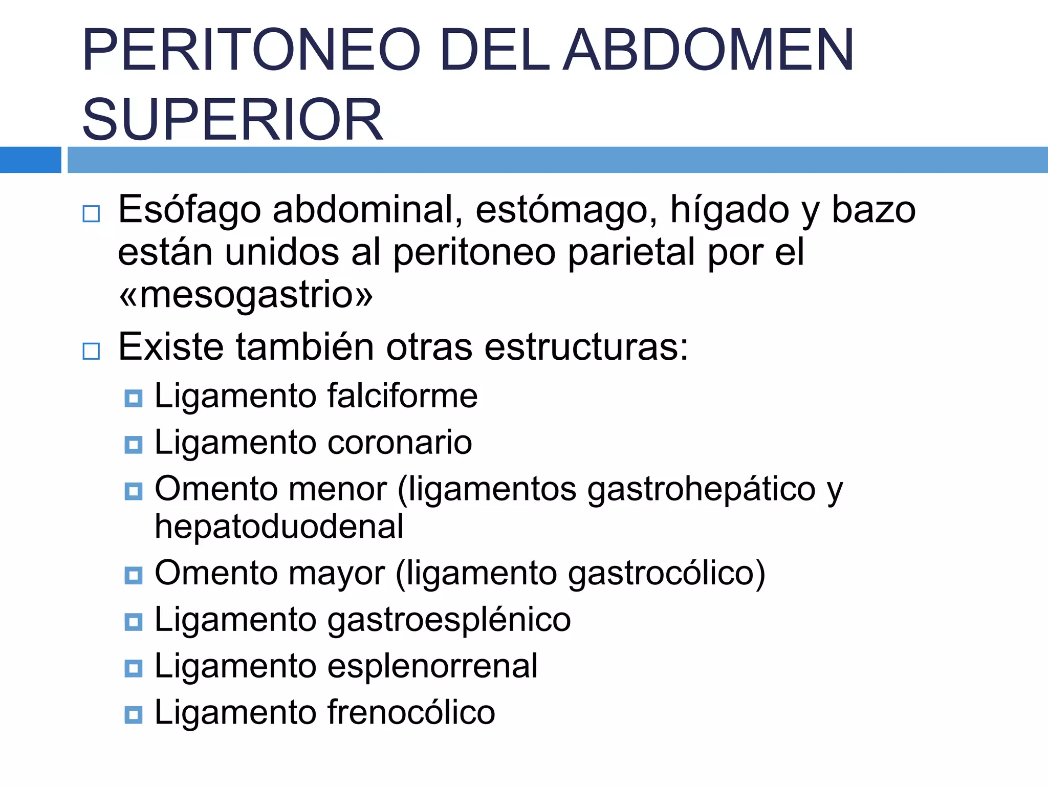 Anatomía y Fisiología del peritoneo y peritonitis | PPTX