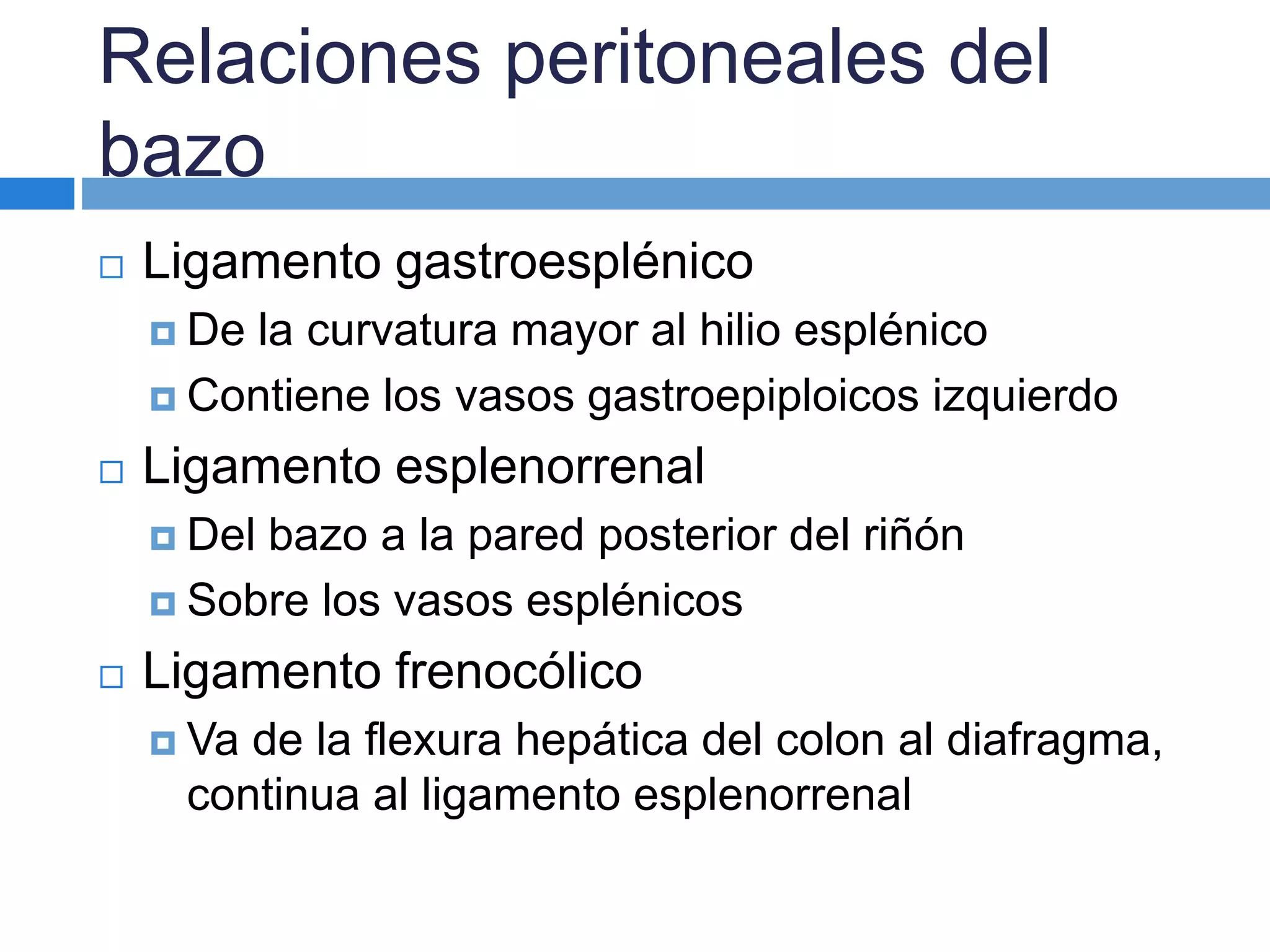 Anatomía y Fisiología del peritoneo y peritonitis | PPTX