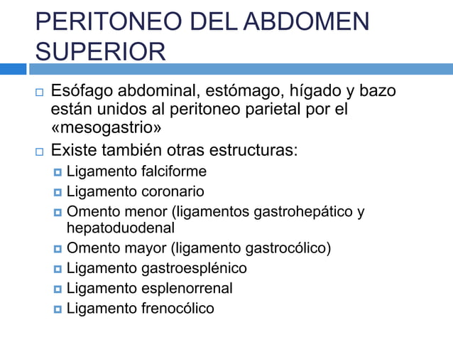 Anatomía y Fisiología del peritoneo y peritonitis | PPTX