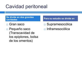 Anatomía y Fisiología del peritoneo y peritonitis | PPTX