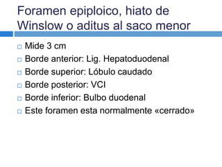 Anatomía y Fisiología del peritoneo y peritonitis | PPTX