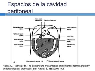 Anatomía y Fisiología del peritoneo y peritonitis | PPTX