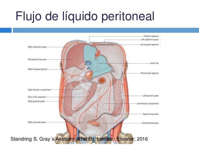 Anatomía Y Fisiología Del Peritoneo Y Peritonitis